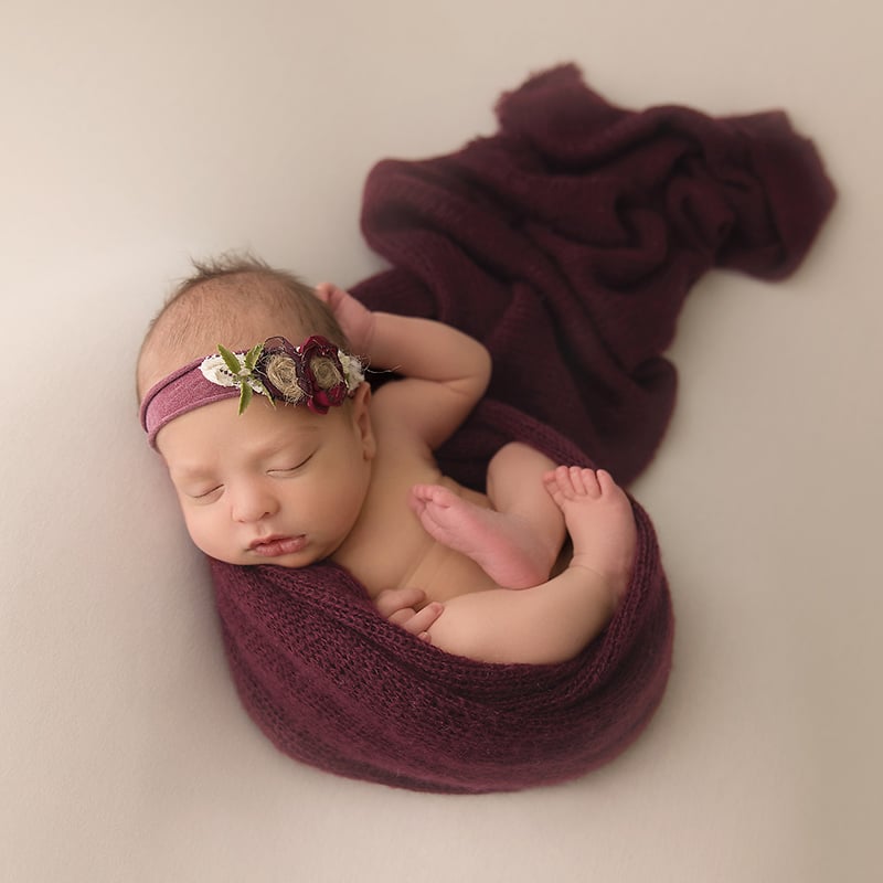 Home / Lee Barrow Photography