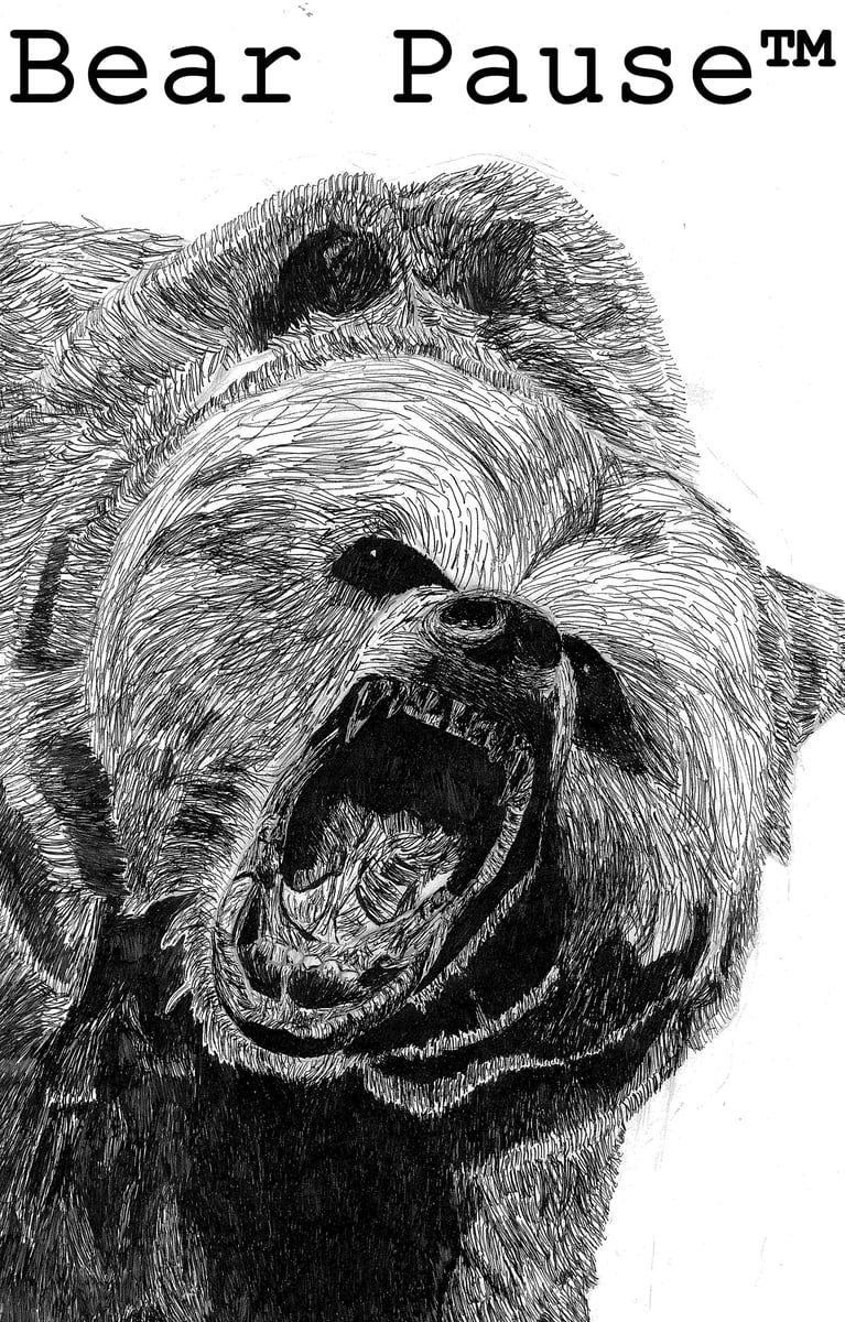 Home | Bear Pause
