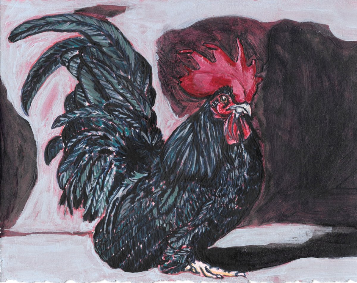 Contact | Alex Casso Studio