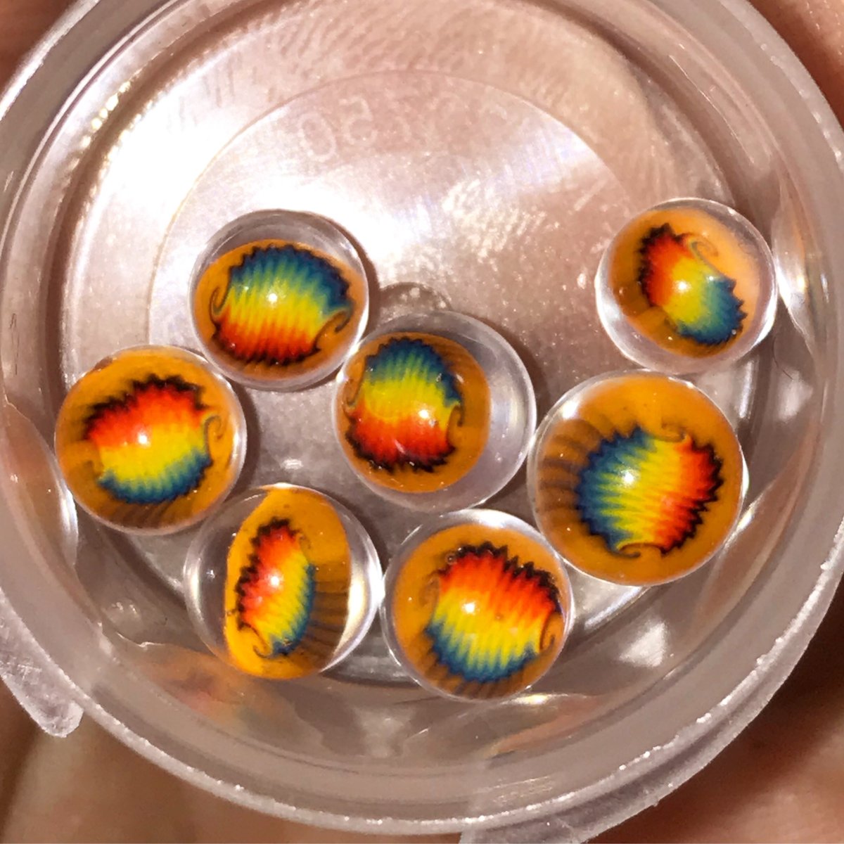 Home | The Terp Pearl Store