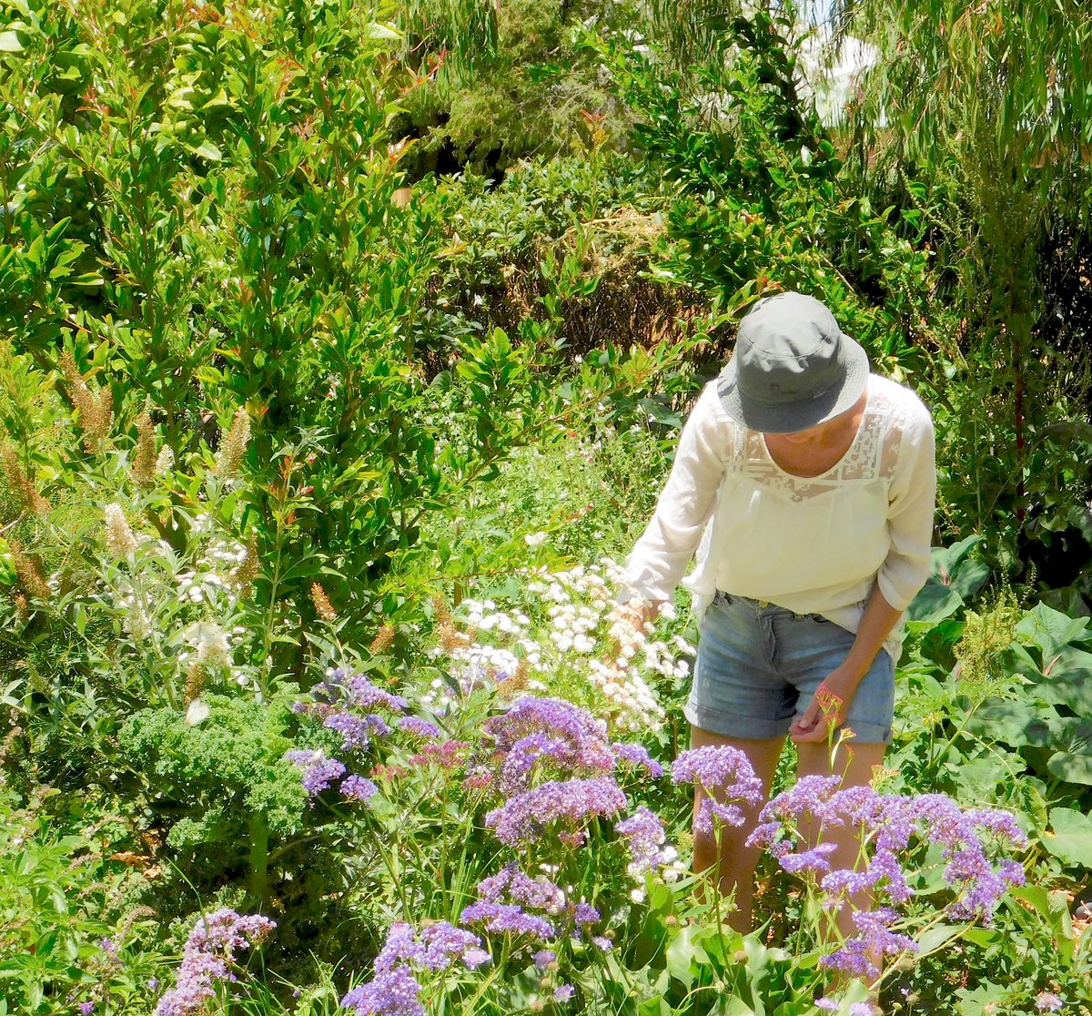 Maintenance | Reconnect to Nature