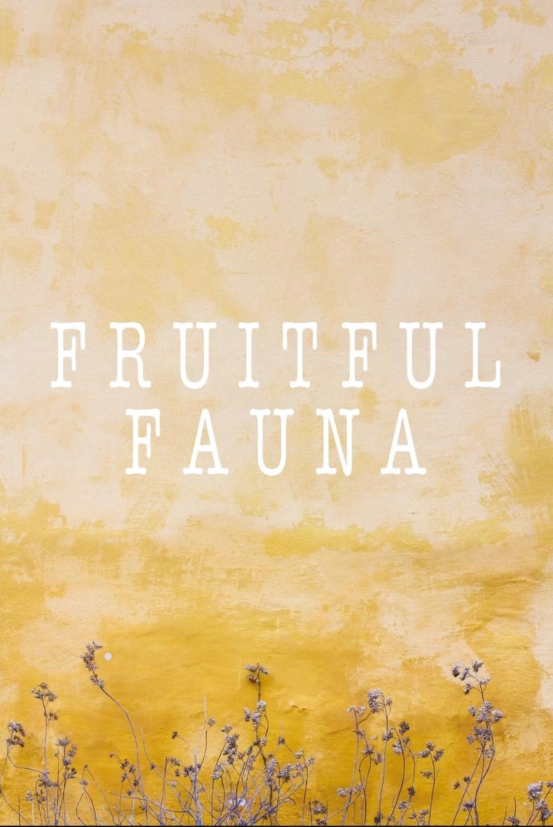 Humble Beginnings | FruitfulFauna