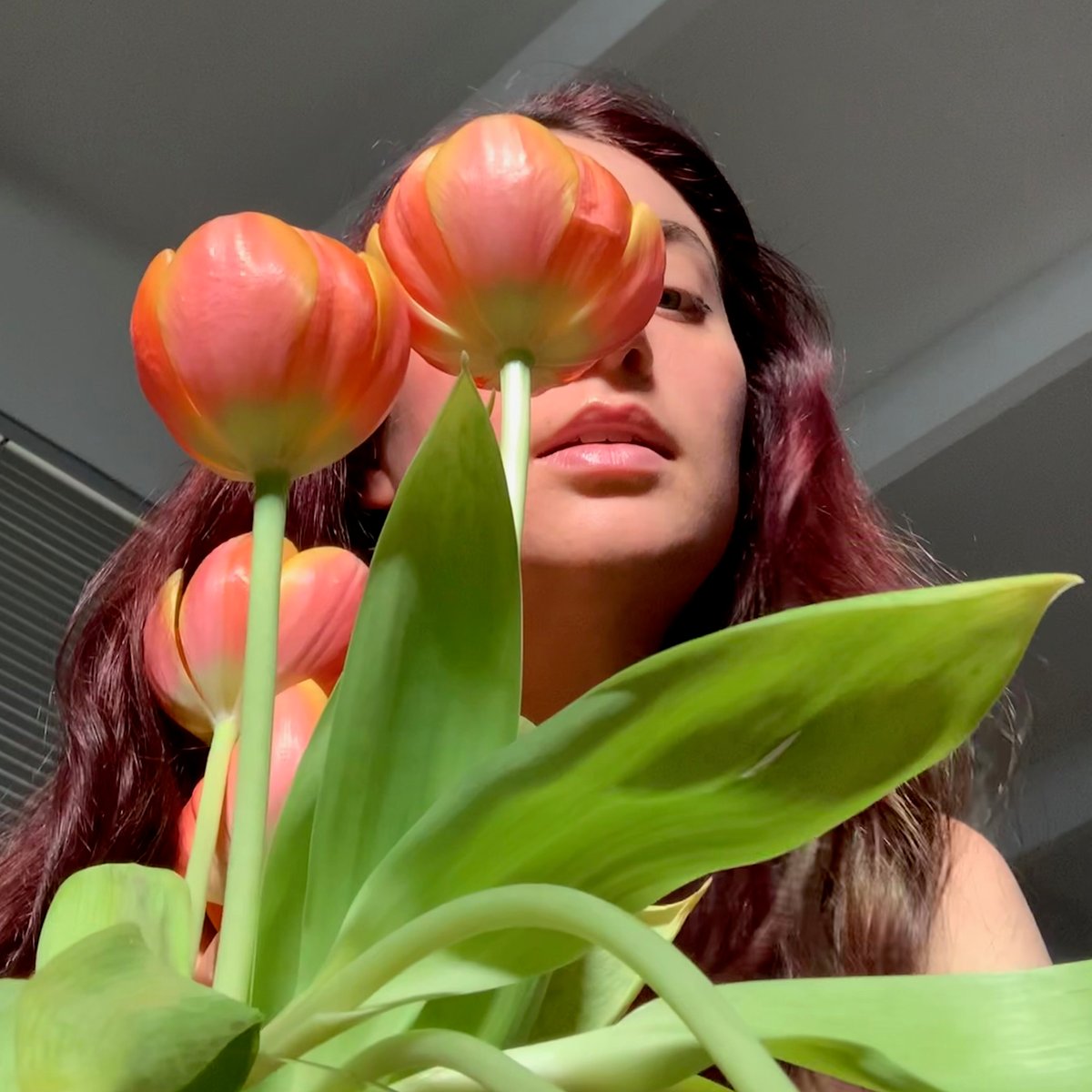 Home | Emma Regolini