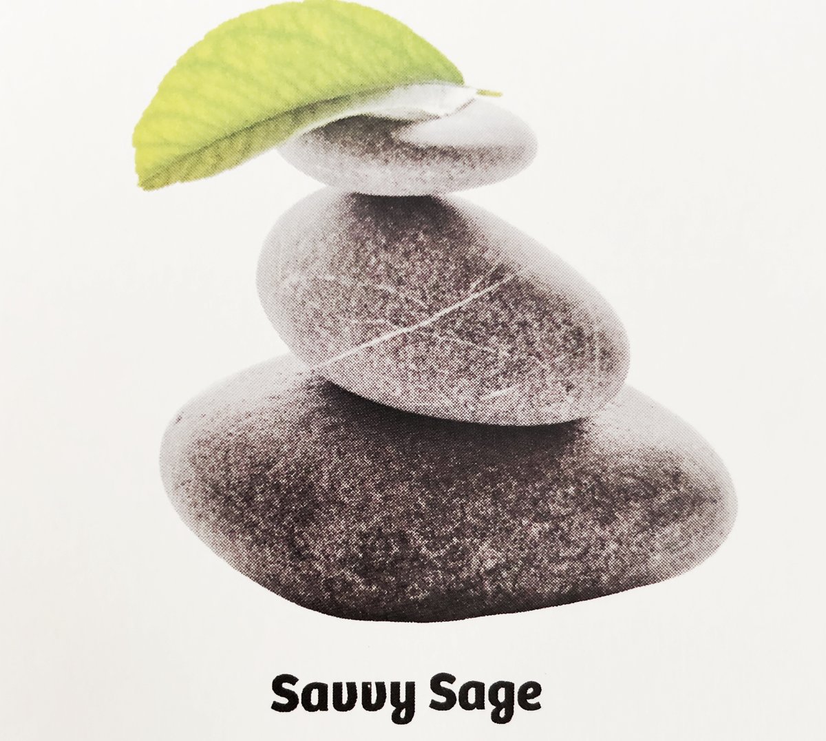 Home | Savvy Sage