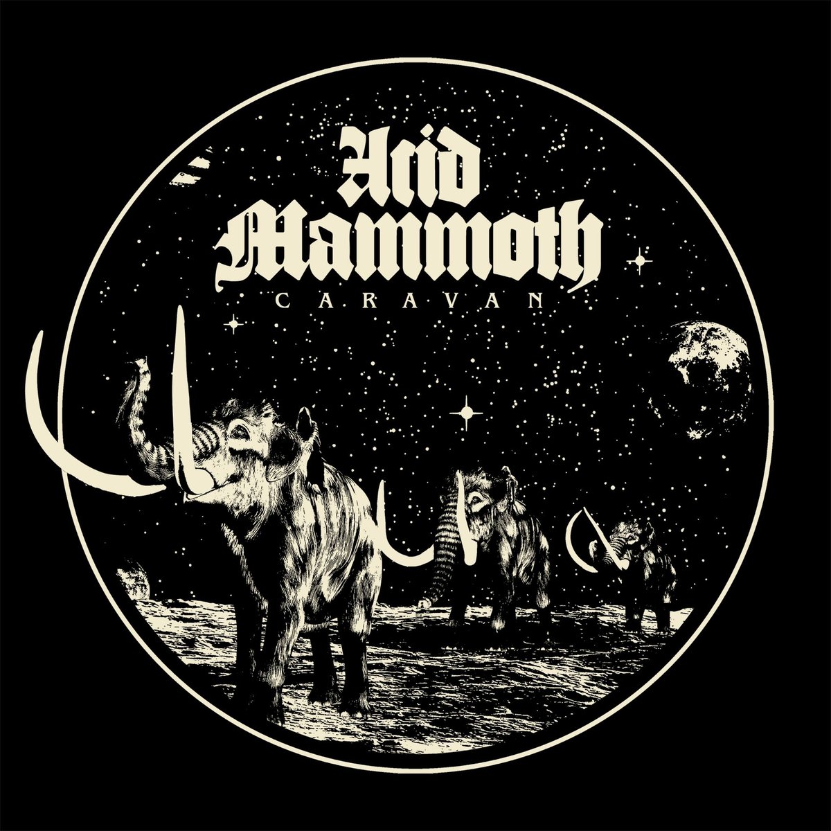 Shipping Info | Acid Mammoth