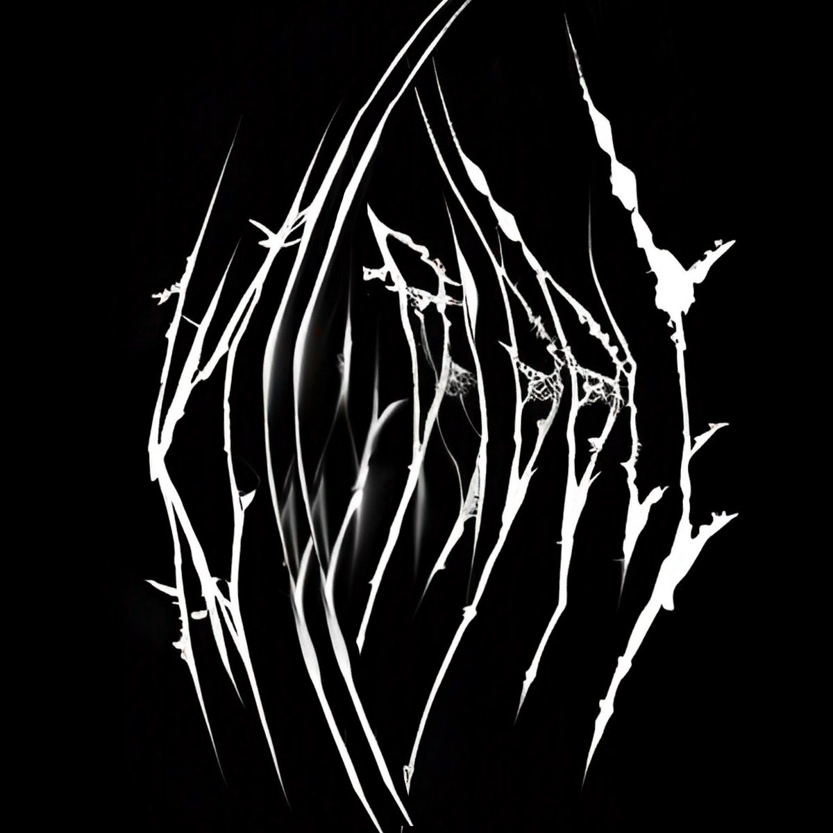 Home | Killriddle merch