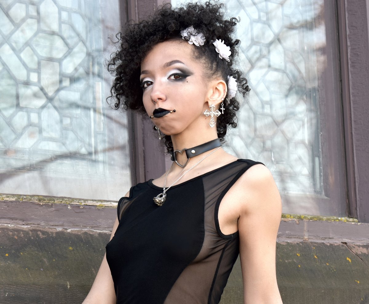 Home | AliceLexington