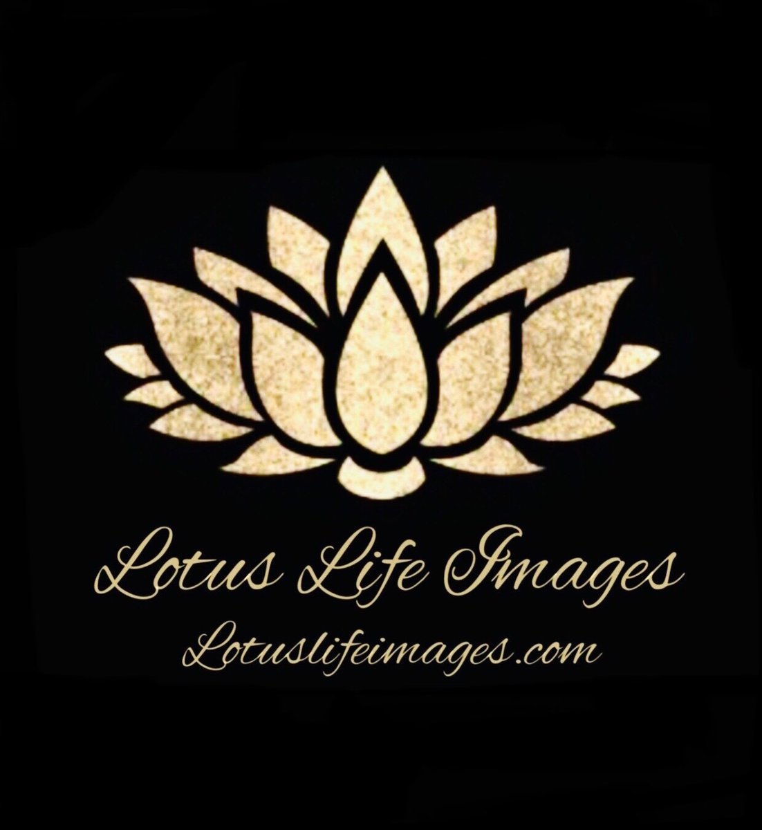 Lotus Life Images | Lotus Life Images