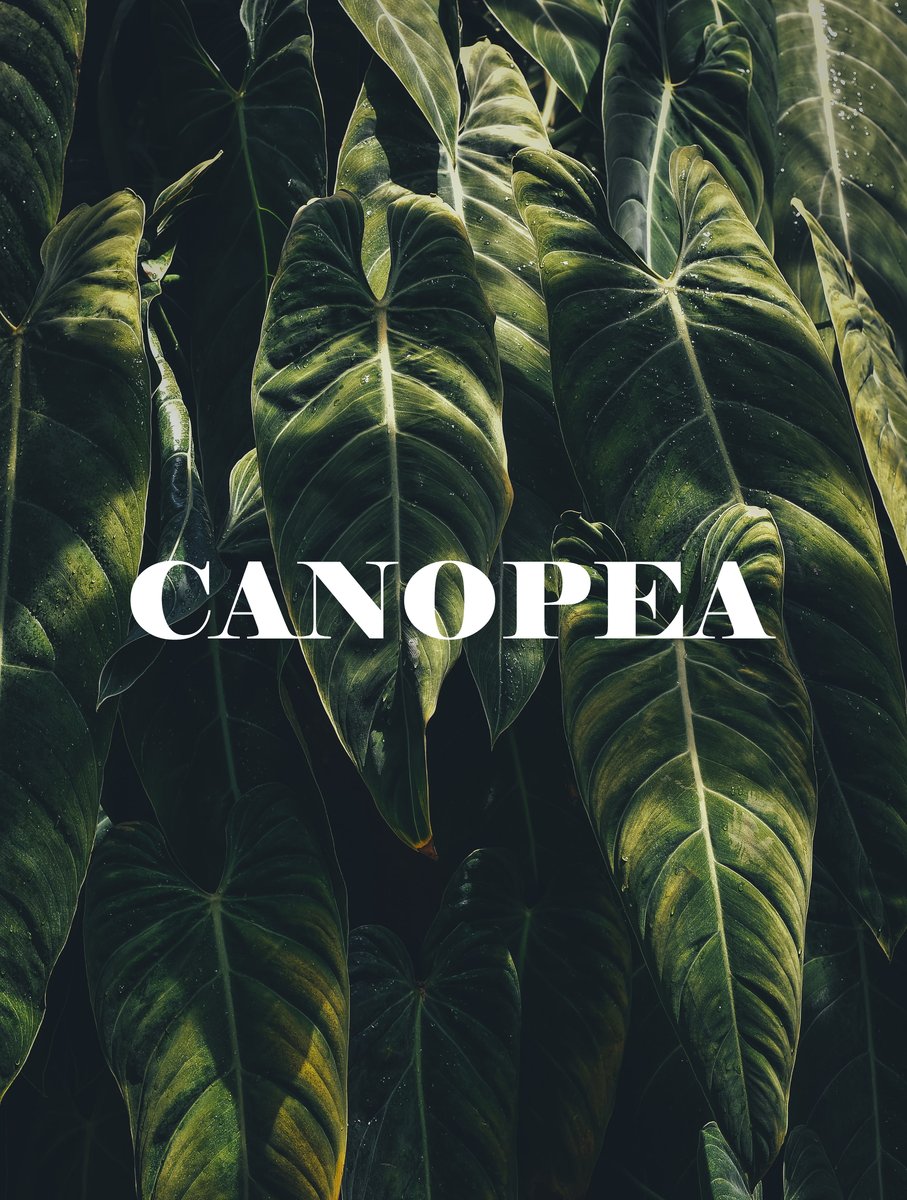 Mission, method and vision | La Canopea