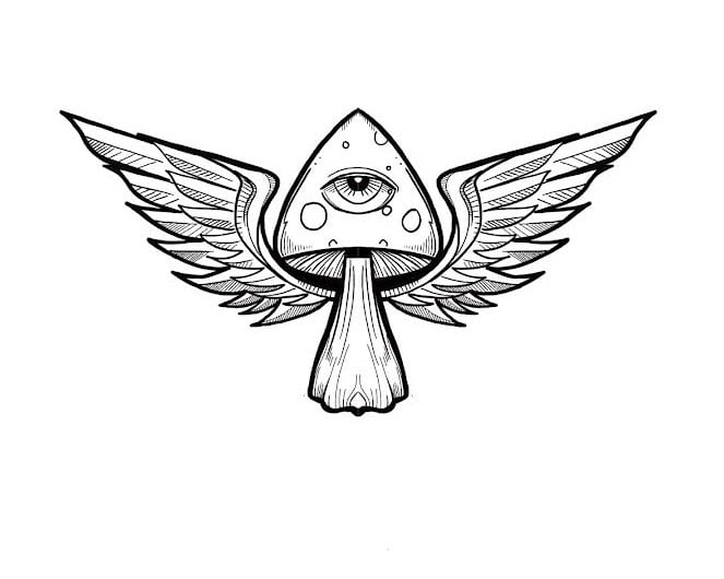 Home | The Hidden Loom