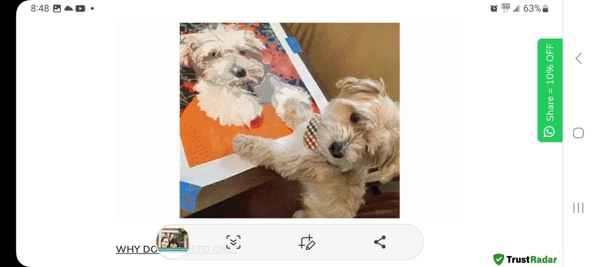 Home | Eye Candy Custom Paintings