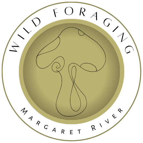 About us | Wild Foraging Margaret River