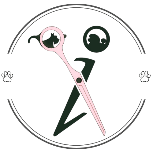 Grooming FAQs | The Grooming Pawspective