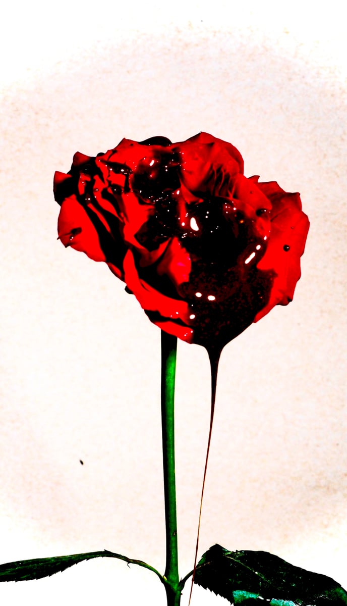 Start Here | OMOSEFE