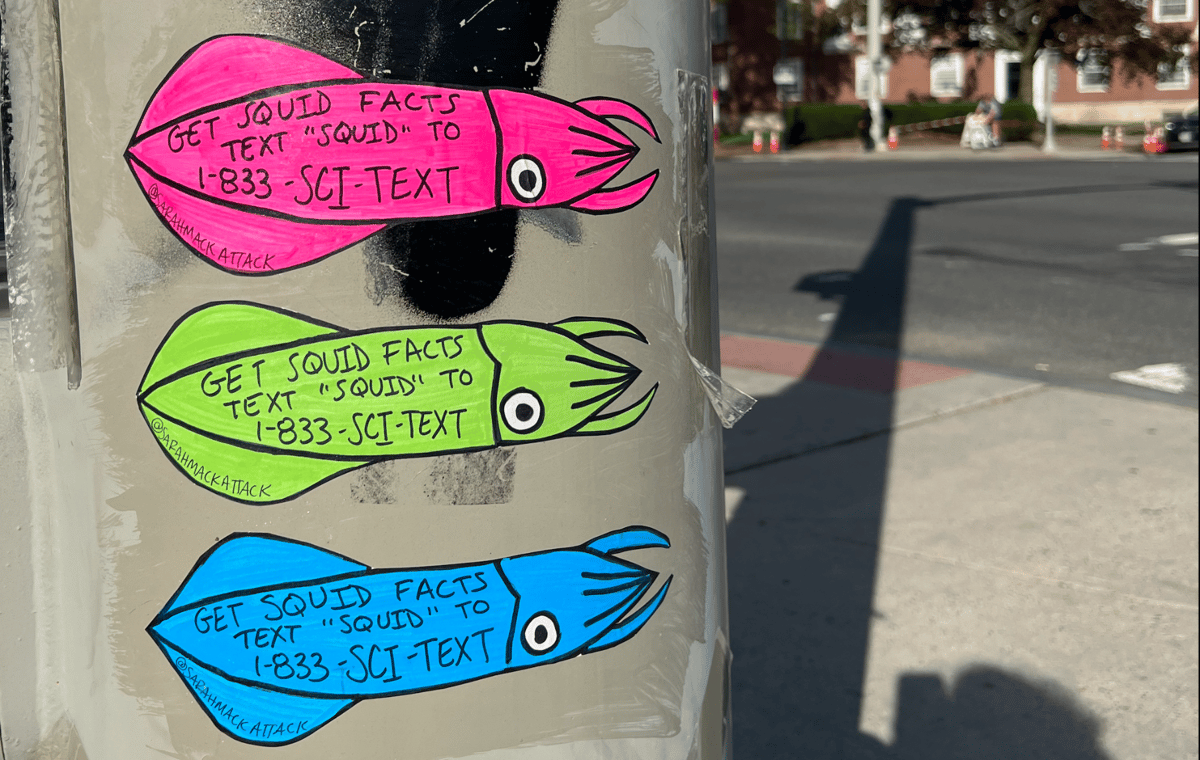 Home | Support Skype a Scientist with the Squid Facts shop!