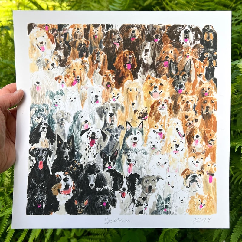 Zoomies - 30x30cm Giclee Print | Jenny Bloomfield Illustration
