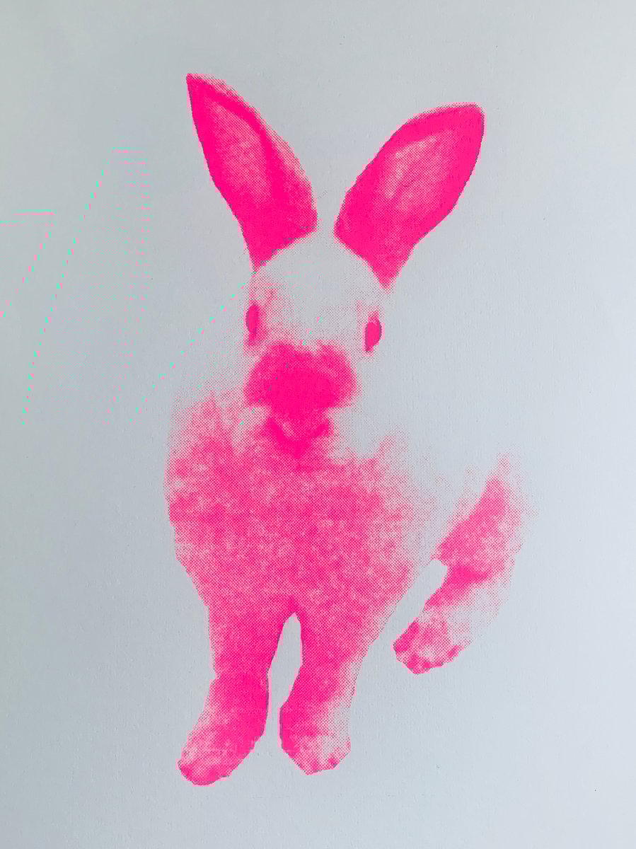 Pluto (Pink) A3 Screen Print | Barbara Taylor Art