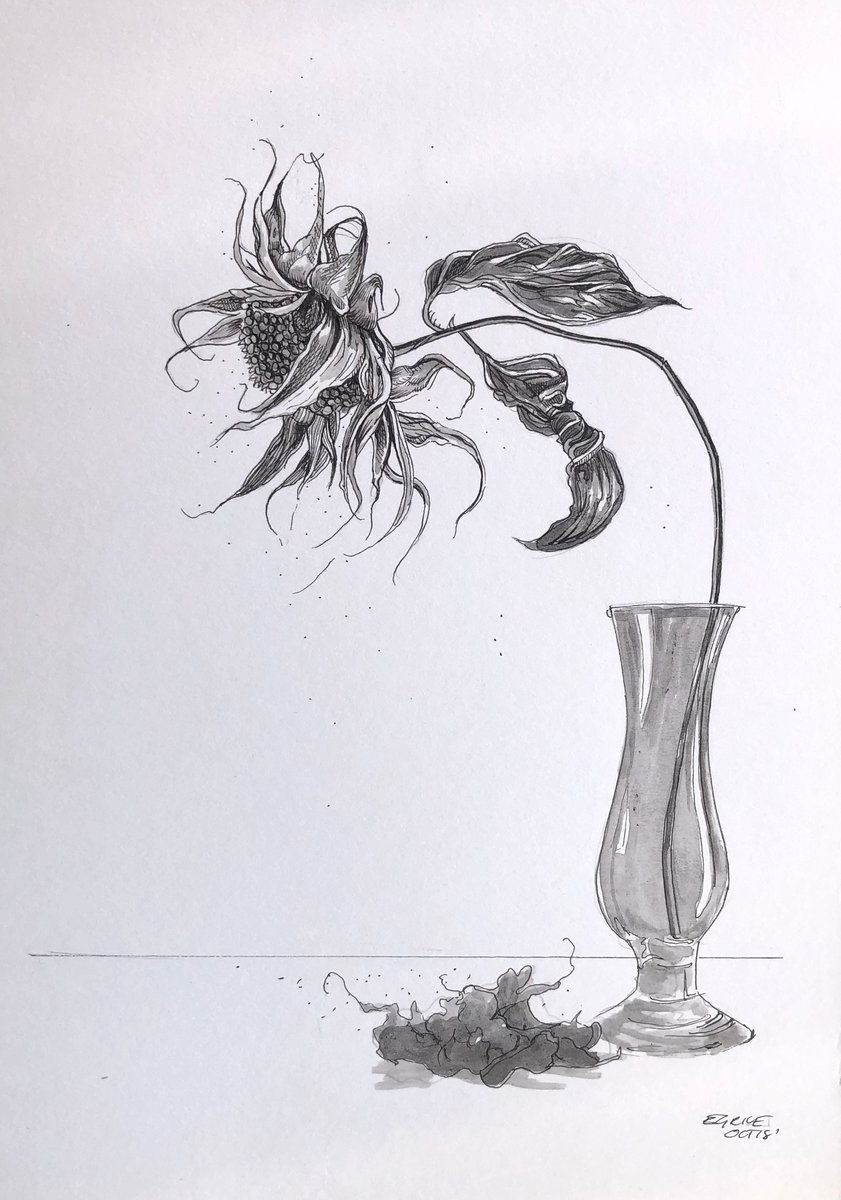 The sunflower | Visual Artist Emma Grice