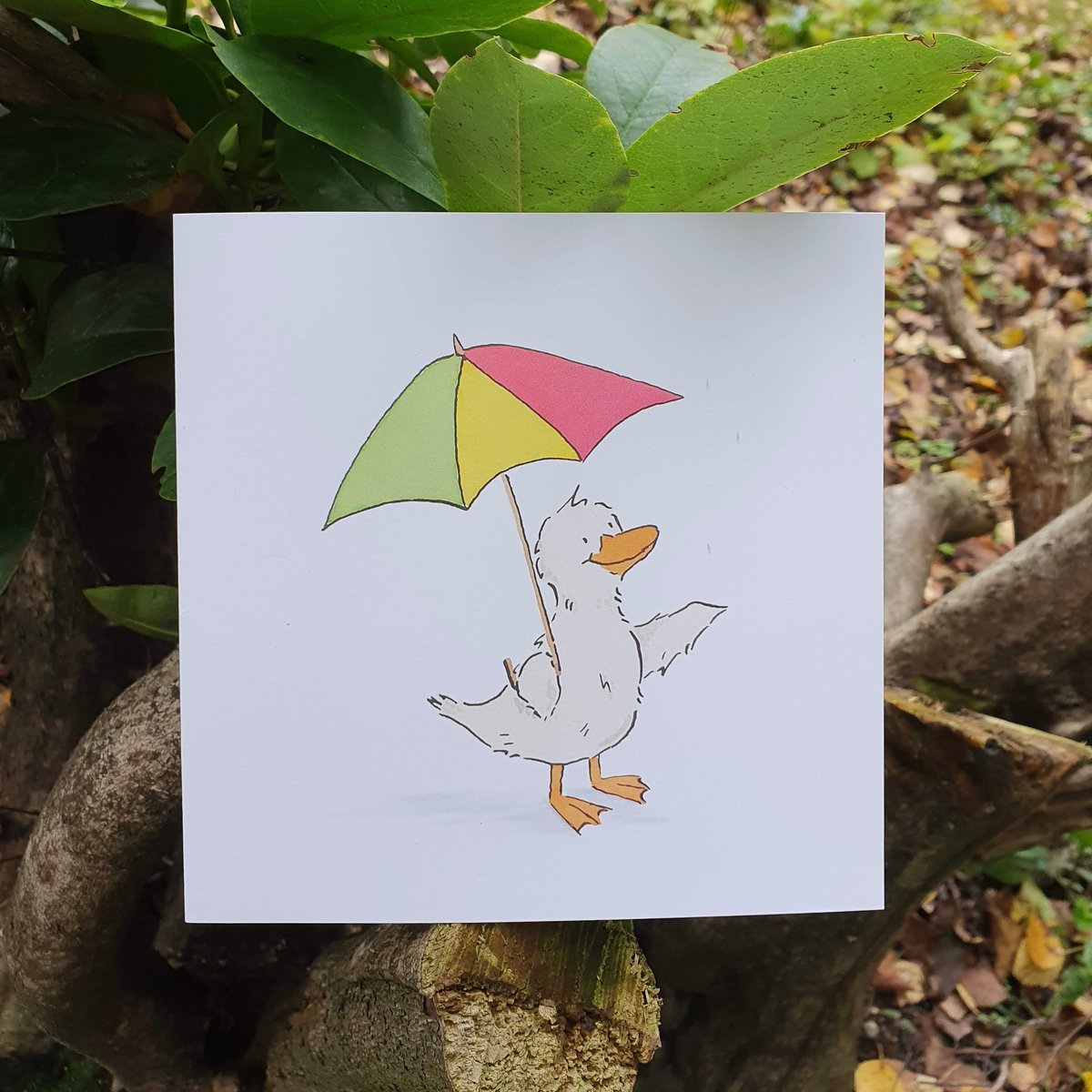 Drip Drip | Amy Turrell Illustration