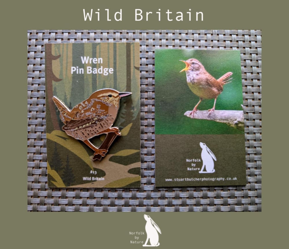 Wren - #13 - Wild Britain Series | UK Birding Pins