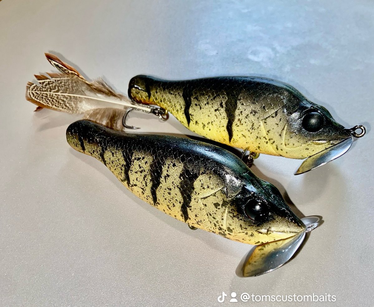 Jitter perch | Toms Custom Baits