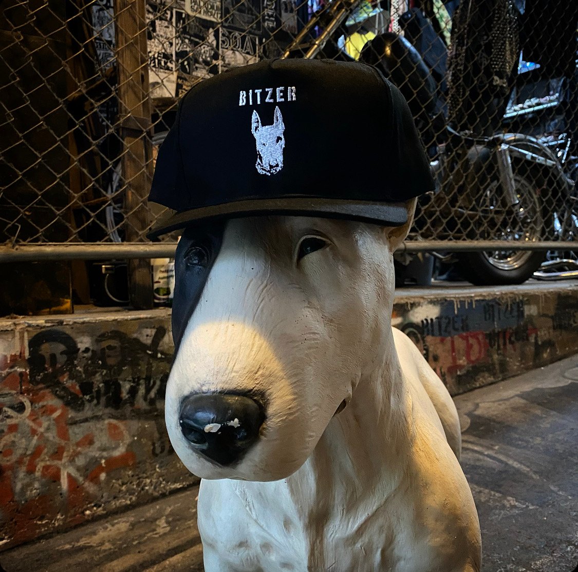 MAD DOG CAP | BITZER