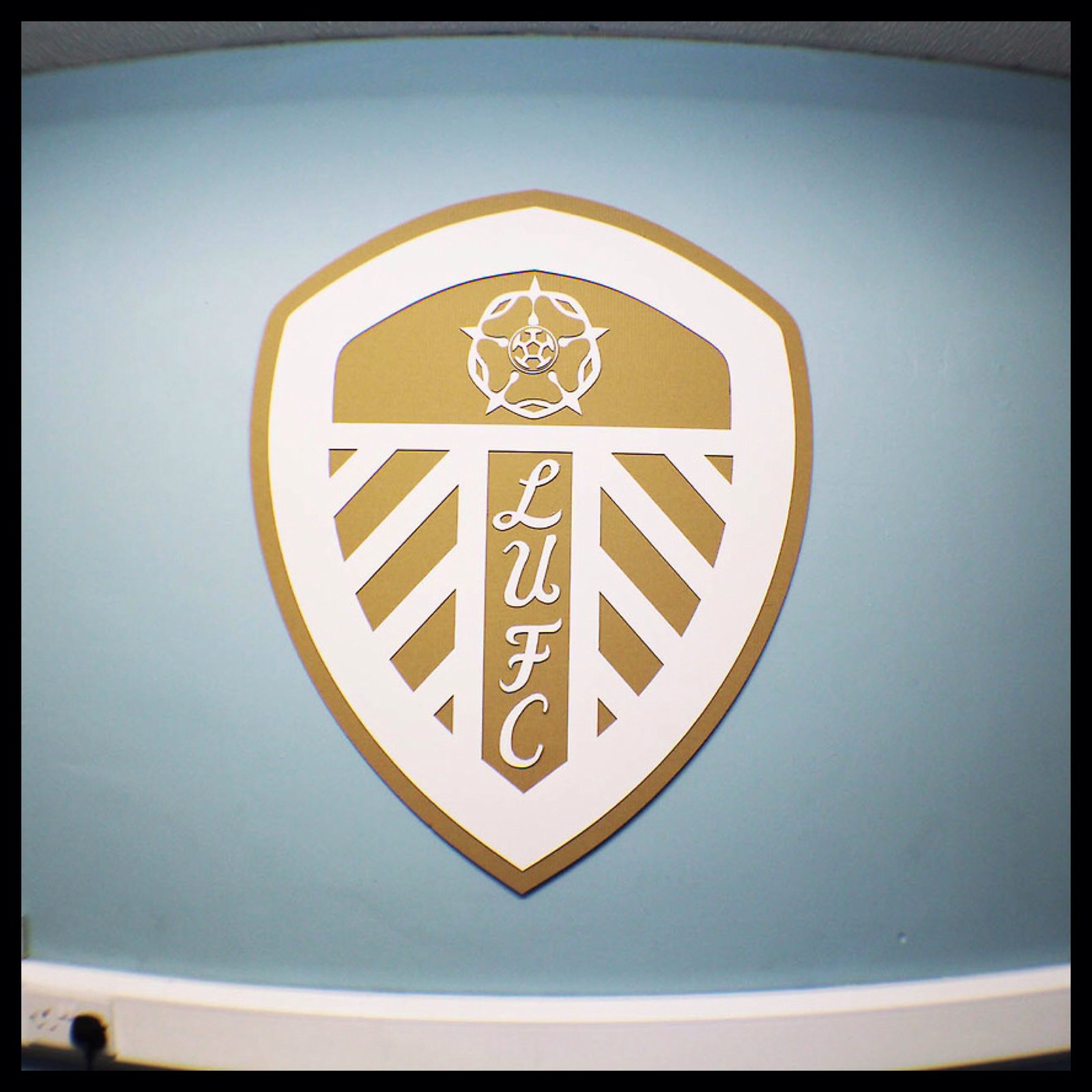 Leeds United Corrugated Crest / Cardboard Art