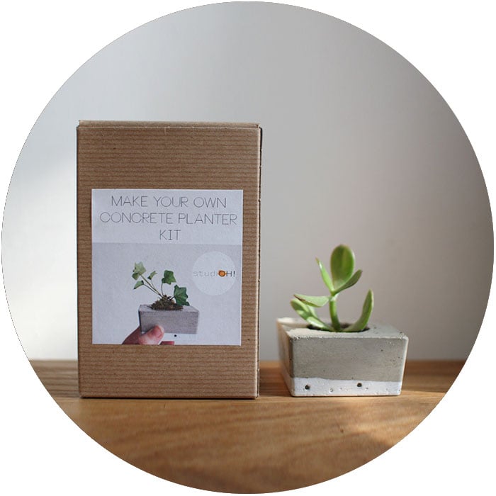 KIT: Make Your Own Concrete Planter / StudiOH! KIT: Make Your Own Concrete Planter / StudiOH!