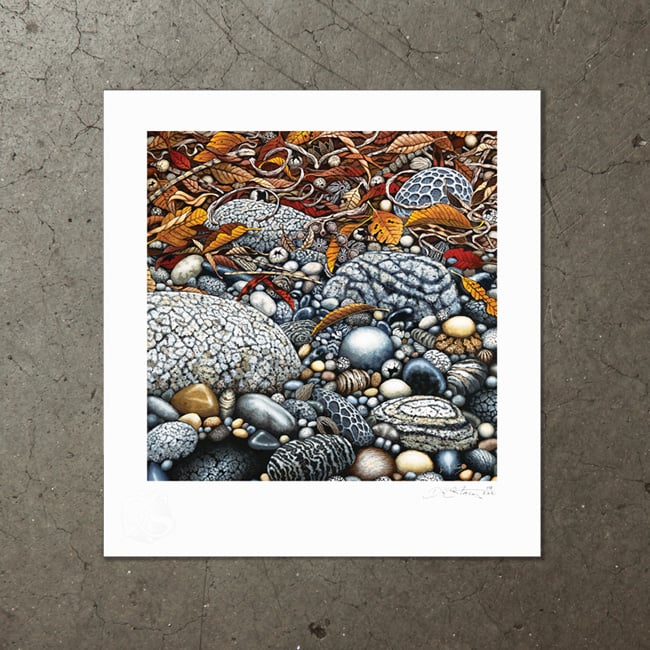 Tidal Collection - Art Print | David H Stacey Art Gallery