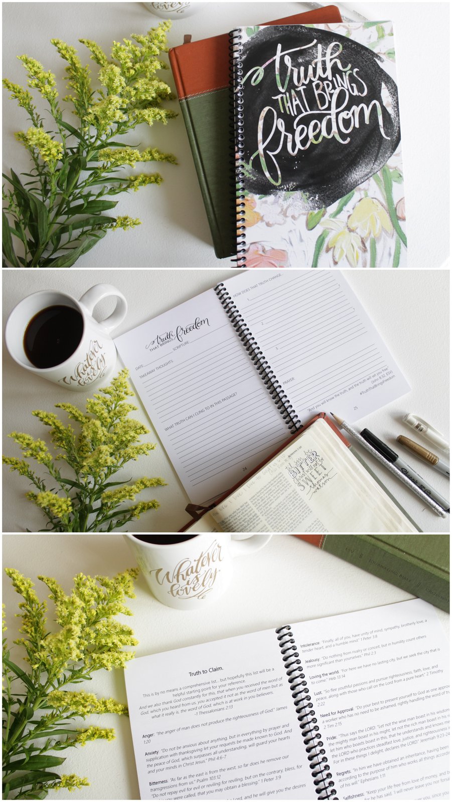 Truth That Brings Freedom Workbook / TruthThatBringsFreedom