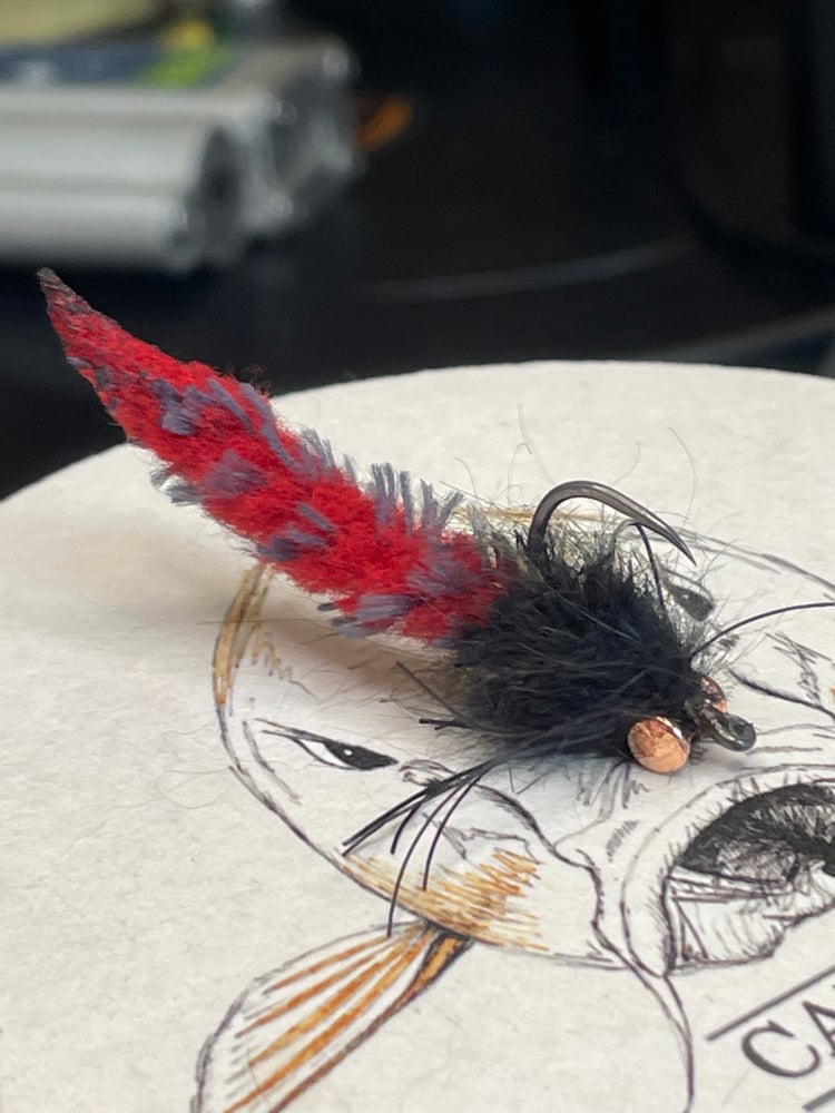 Products | Carp Stalker Fly Fishing