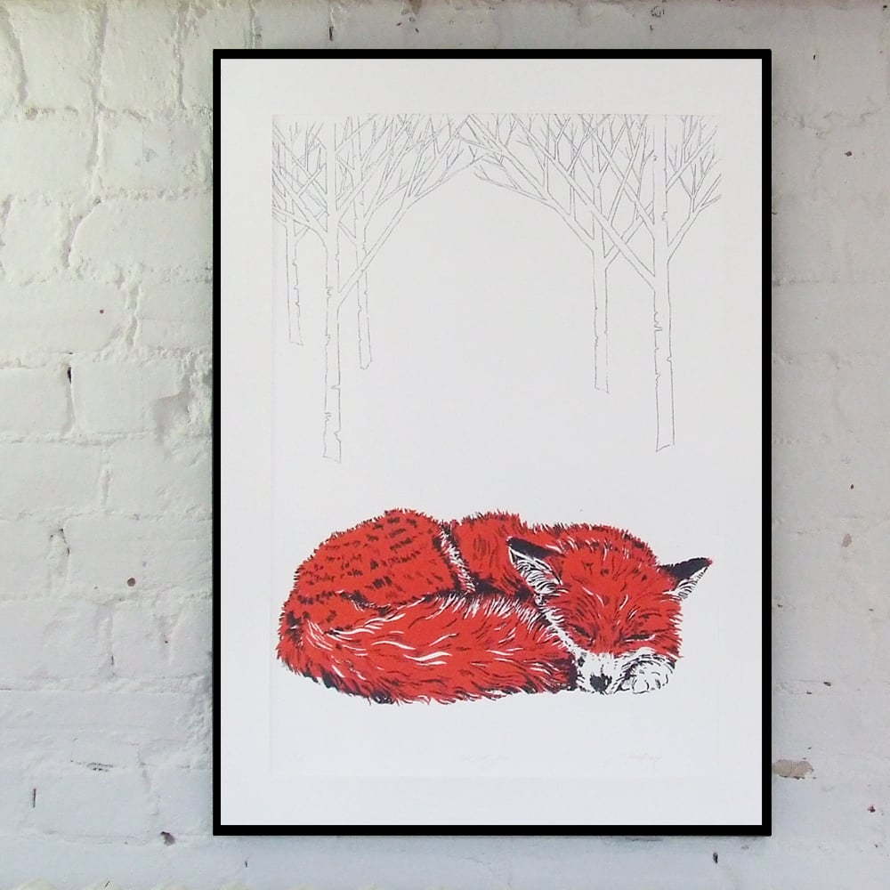 CURLED FOX / Little Fox Press