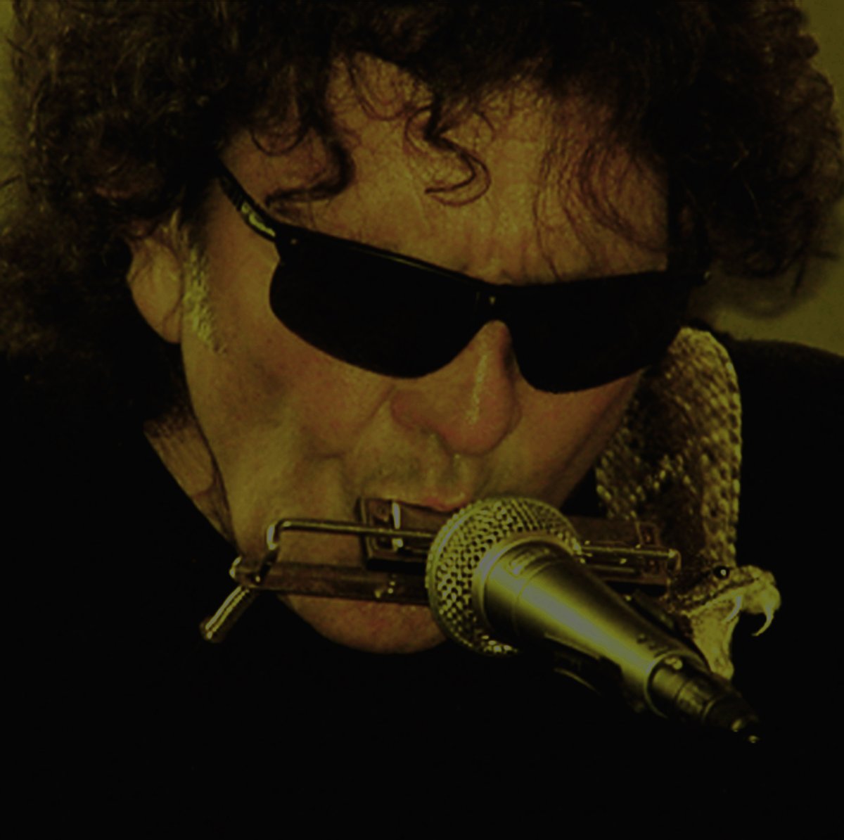 The Shine - CD / Tony Joe White