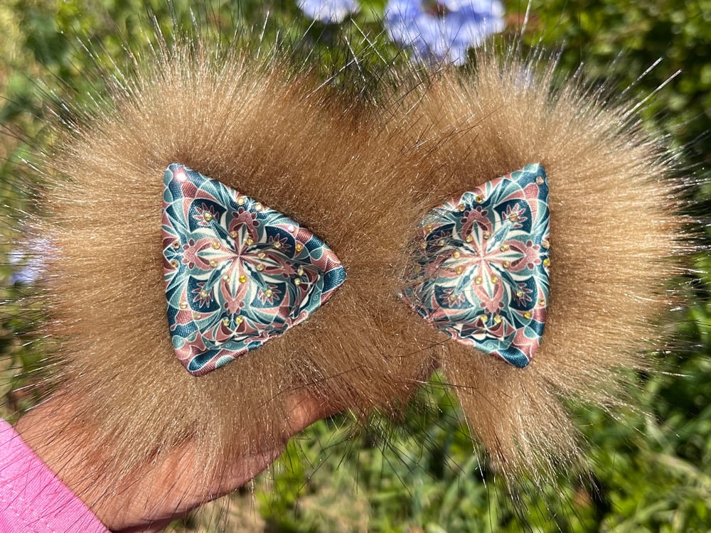 Funky Fern | Eclectic Mushroom