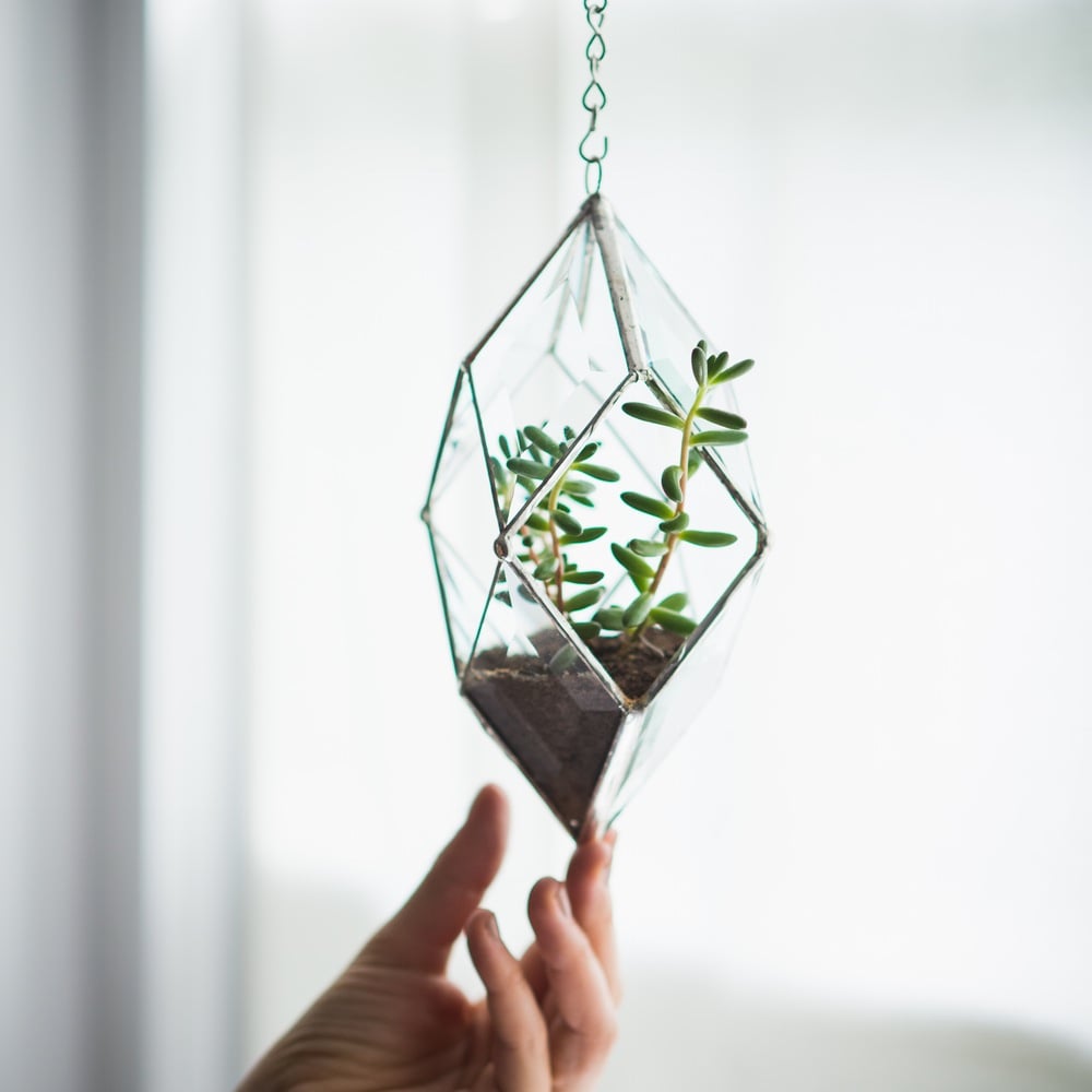 Iridis Prism Terrarium - small, medium, large / ABJ glassworks