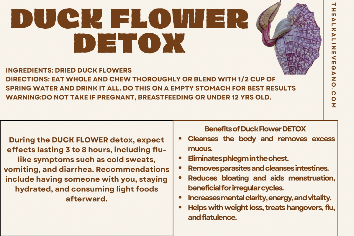 Duck Flower Detox | TheAlkalineVegano