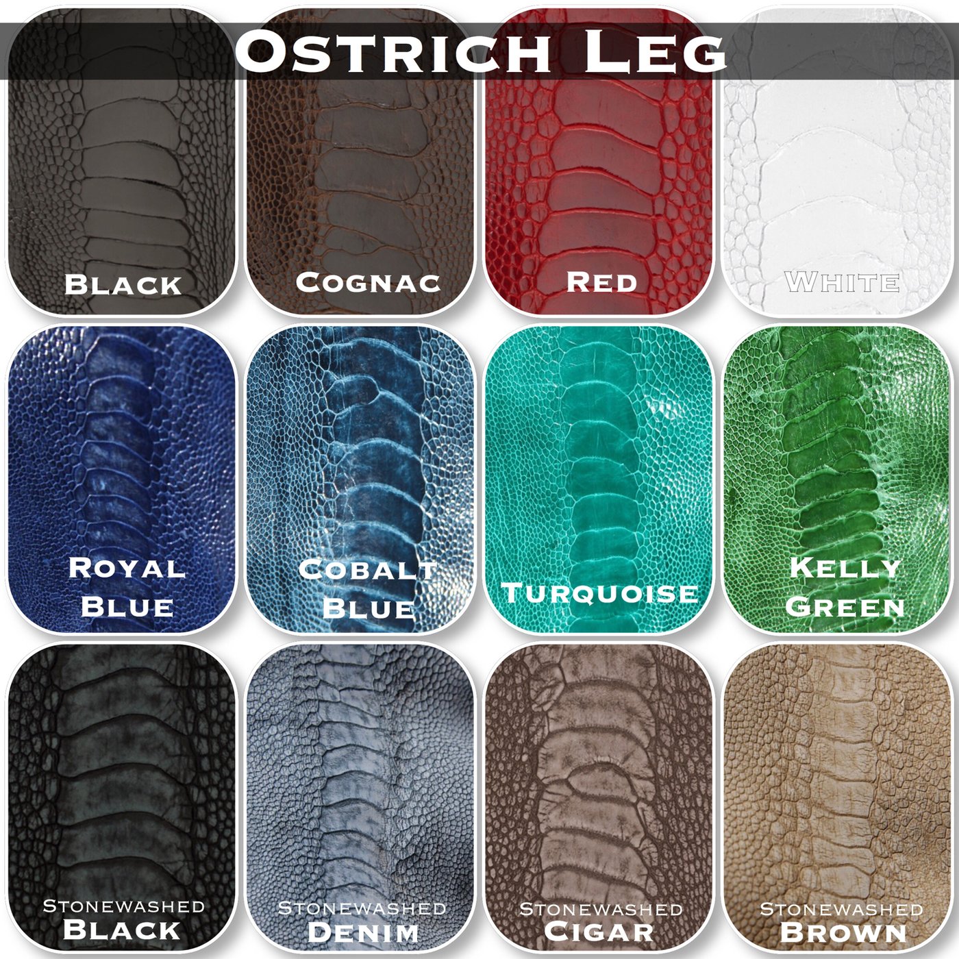 Exotics | MacGregor Customs Leather Co.
