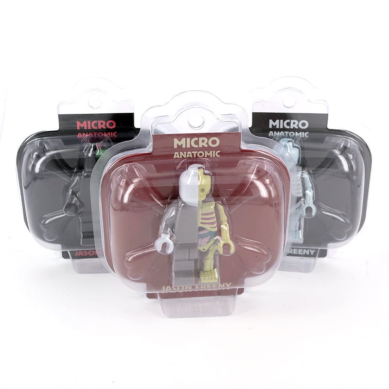 Jason freeny Micro Anatomic - Last one | L'imagerie