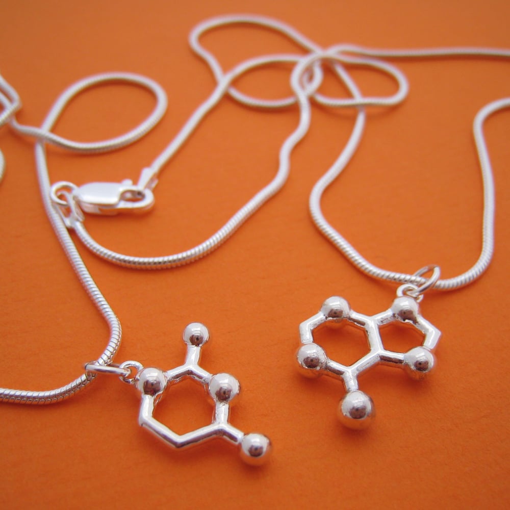 DNA/RNA friendship necklaces | Made With Molecules