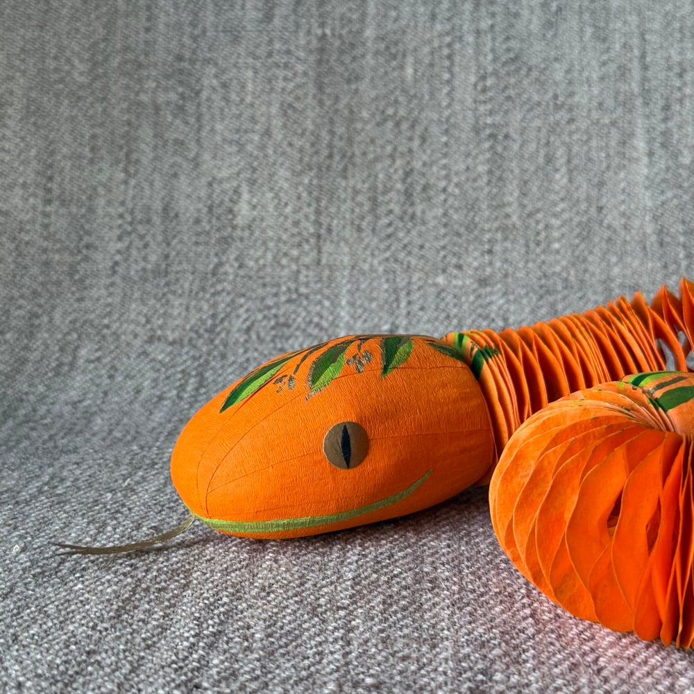 Snake | Anandamayi Arnold