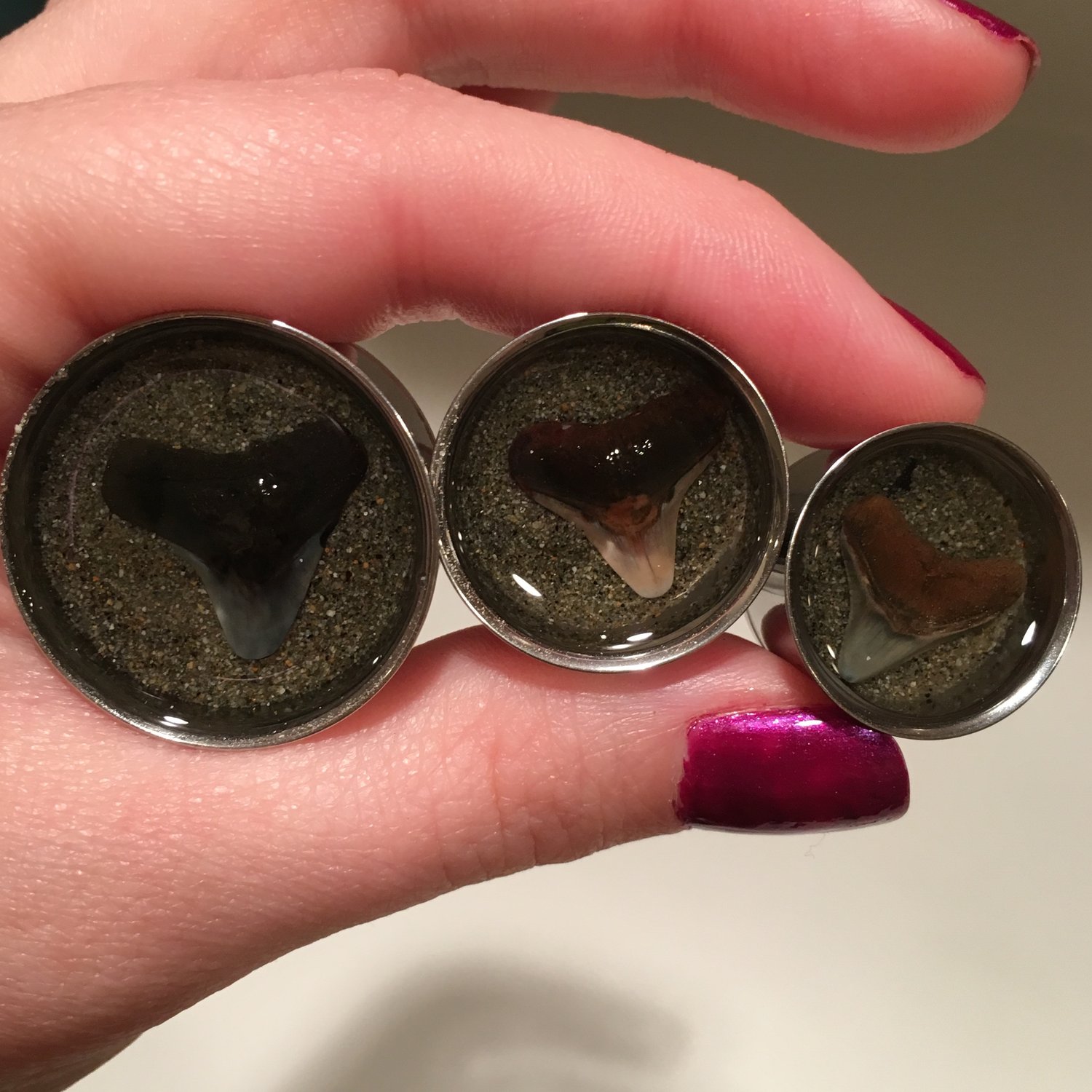 Shark Teeth Plugs (sizes 3/4-2”) | Plugs By Emma