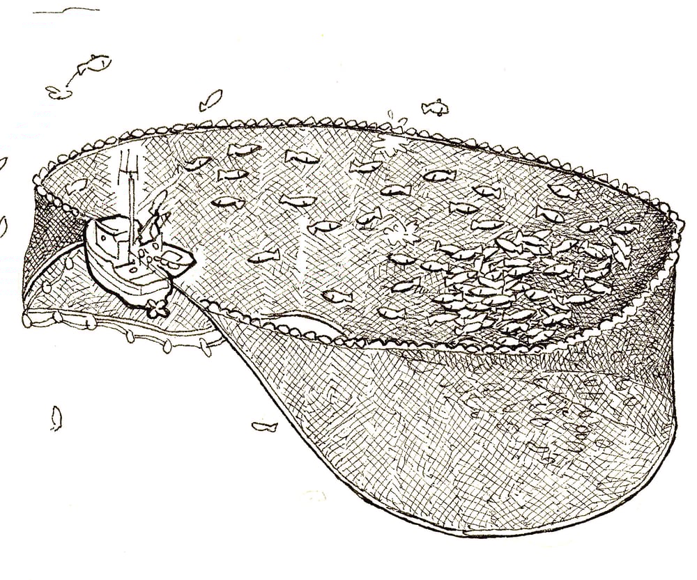 The Seiner Explainer Poster / The Scow