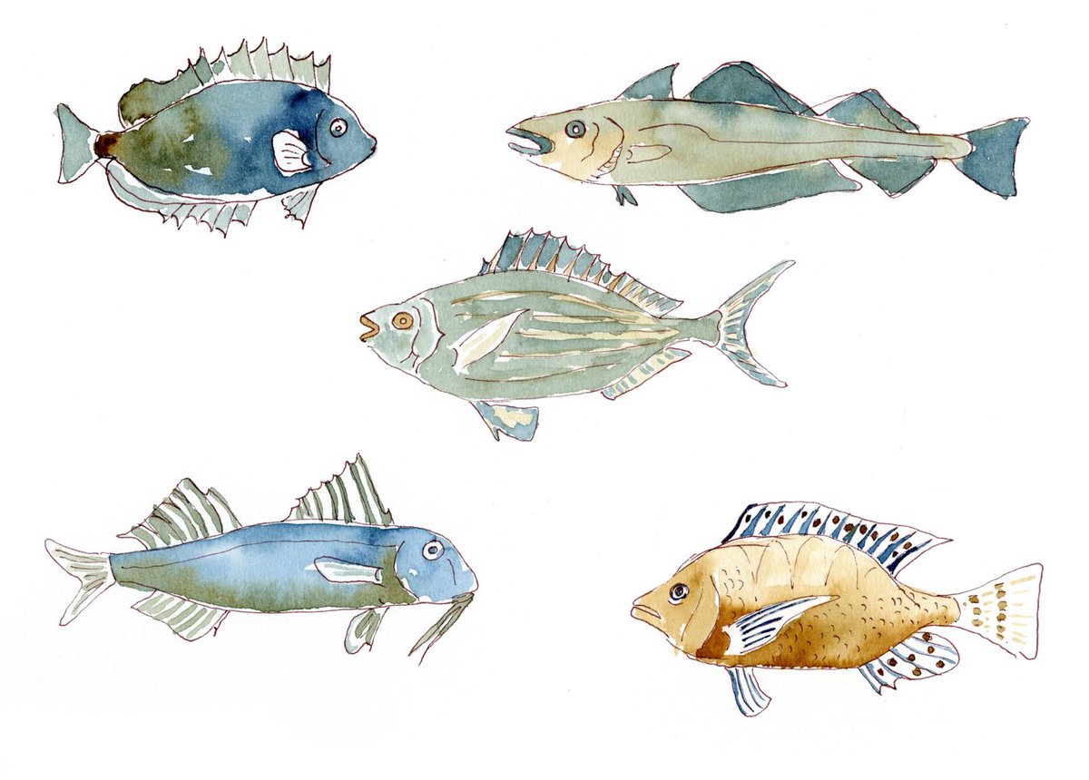 William Dorling — Five Fish