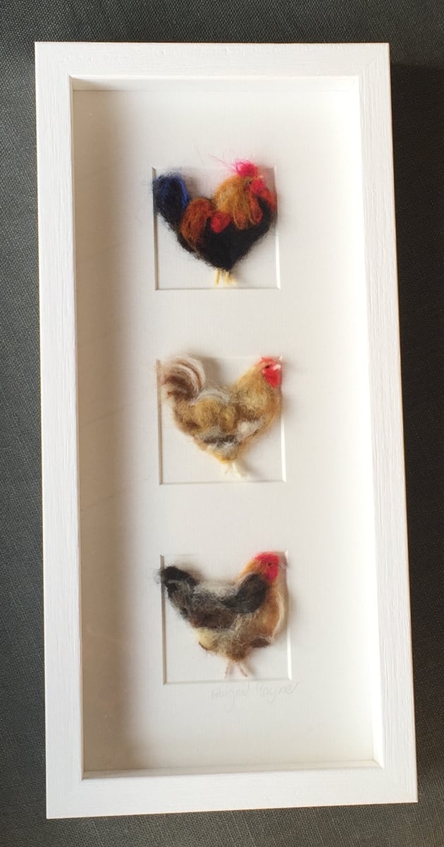"Three in a Box Chickens" | Abigail Rayner