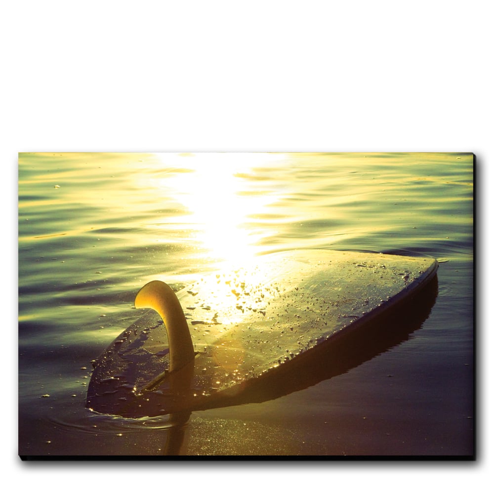 GOLDEN FIN | TIM McCAIG - Gallery Store