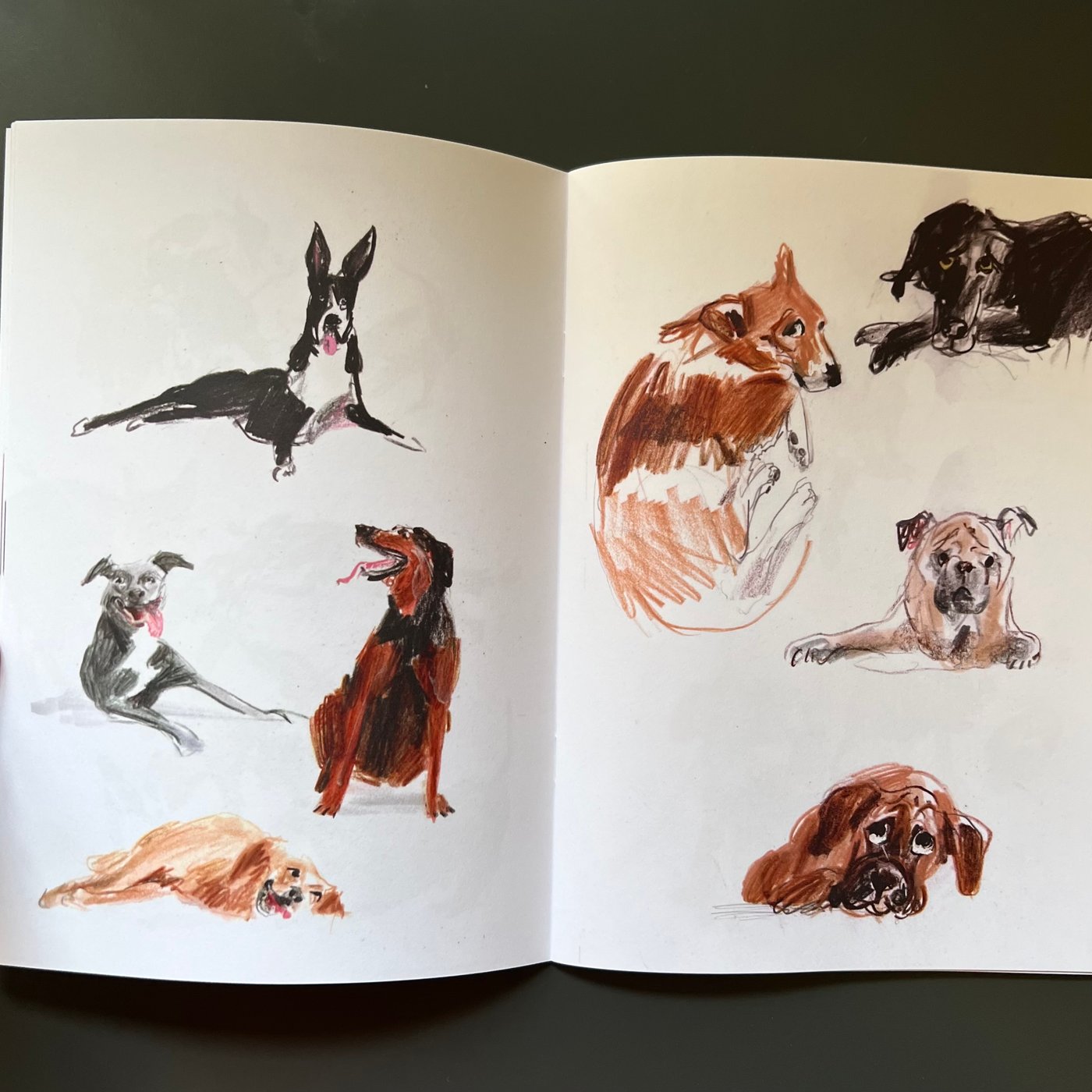 Sketchbook Dogs! - Sketchbook Zine | Jenny Bloomfield Illustration