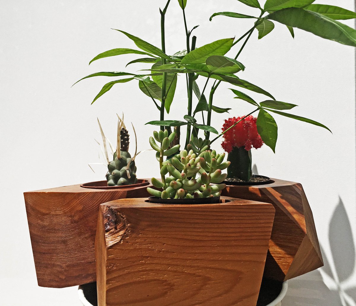 Geo Planters / ArielleSymone