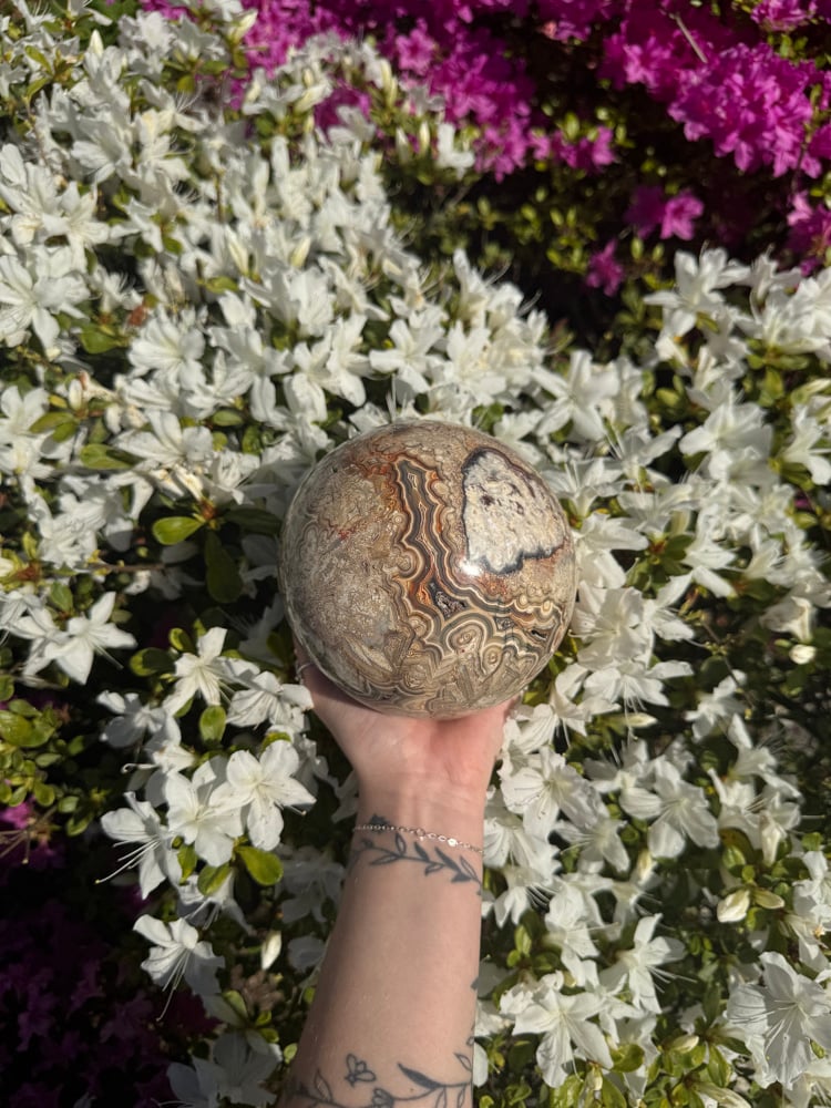 XXL BEAUTIFULLY BANDED MEXICAN LACE AGATE SPHERE | thewitchespitstop