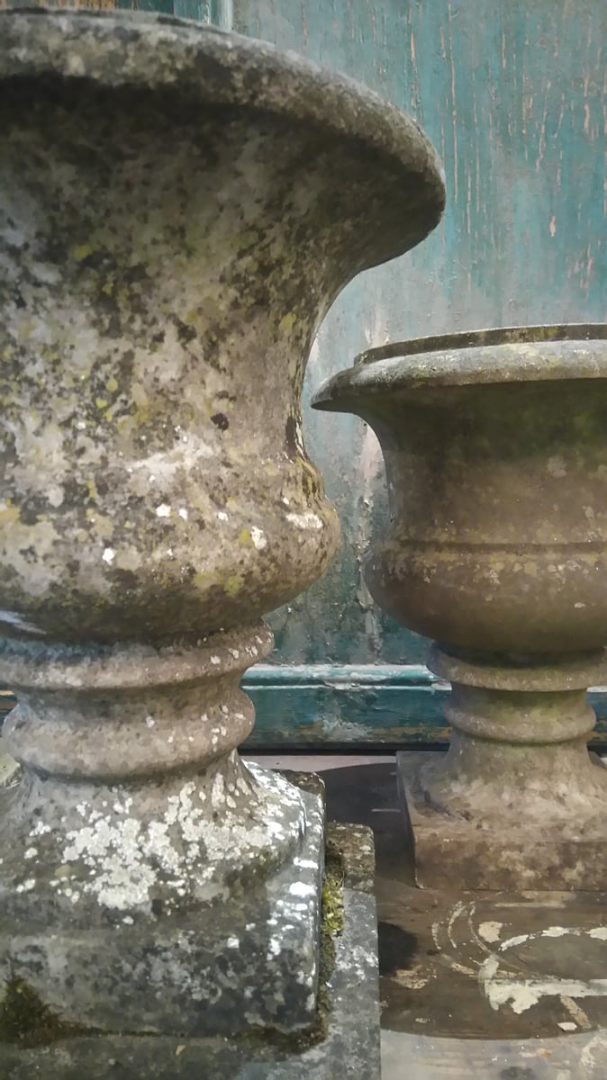 Products / The Clockwork Crow