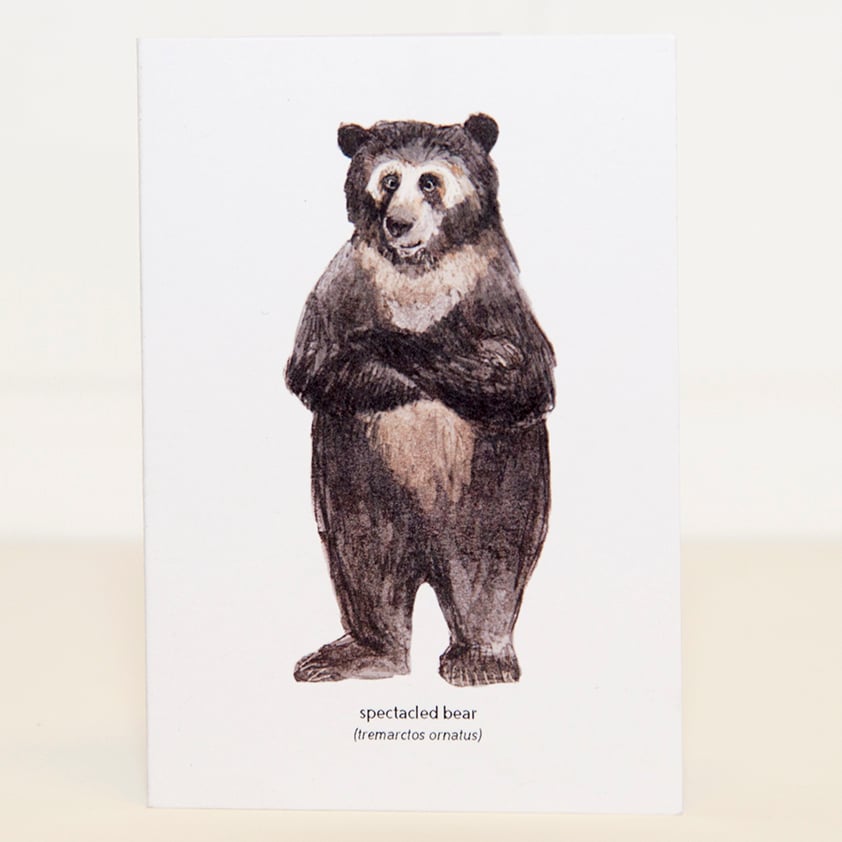 Spectacled Bear Mini Card | eïghtbear